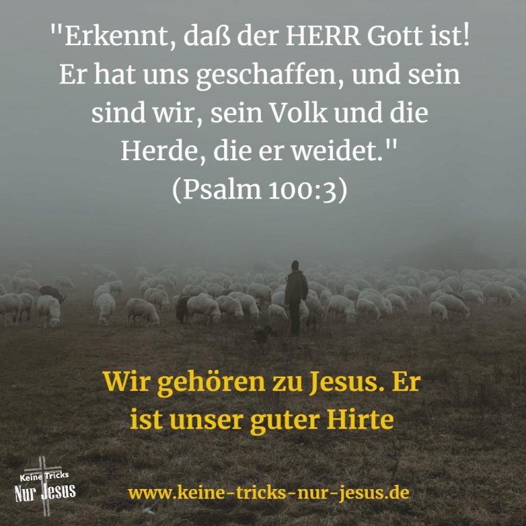 Ist Jesus unser Hirte? Nein, er ist unser guter Hirte | Keine Tricks ...