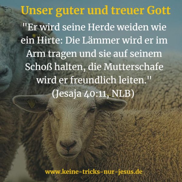 Wo steht in der Bibel, dass Jesus unser Hirte ist? | Keine Tricks - nur ...