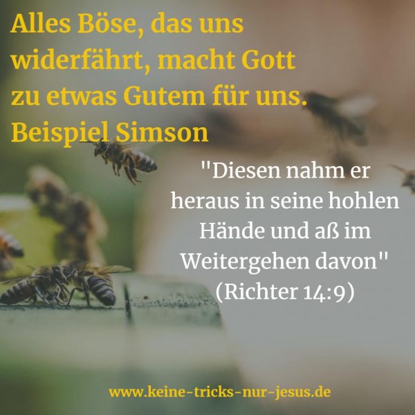 Simson (Samson). Leckerer süßer Honig von Gott für den Mann mit den ...