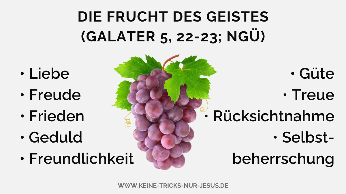 Die Frucht des Heiligen Geistes in der Bibel | Keine Tricks - nur Jesus